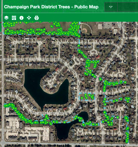 Trees – Robeson Meadows